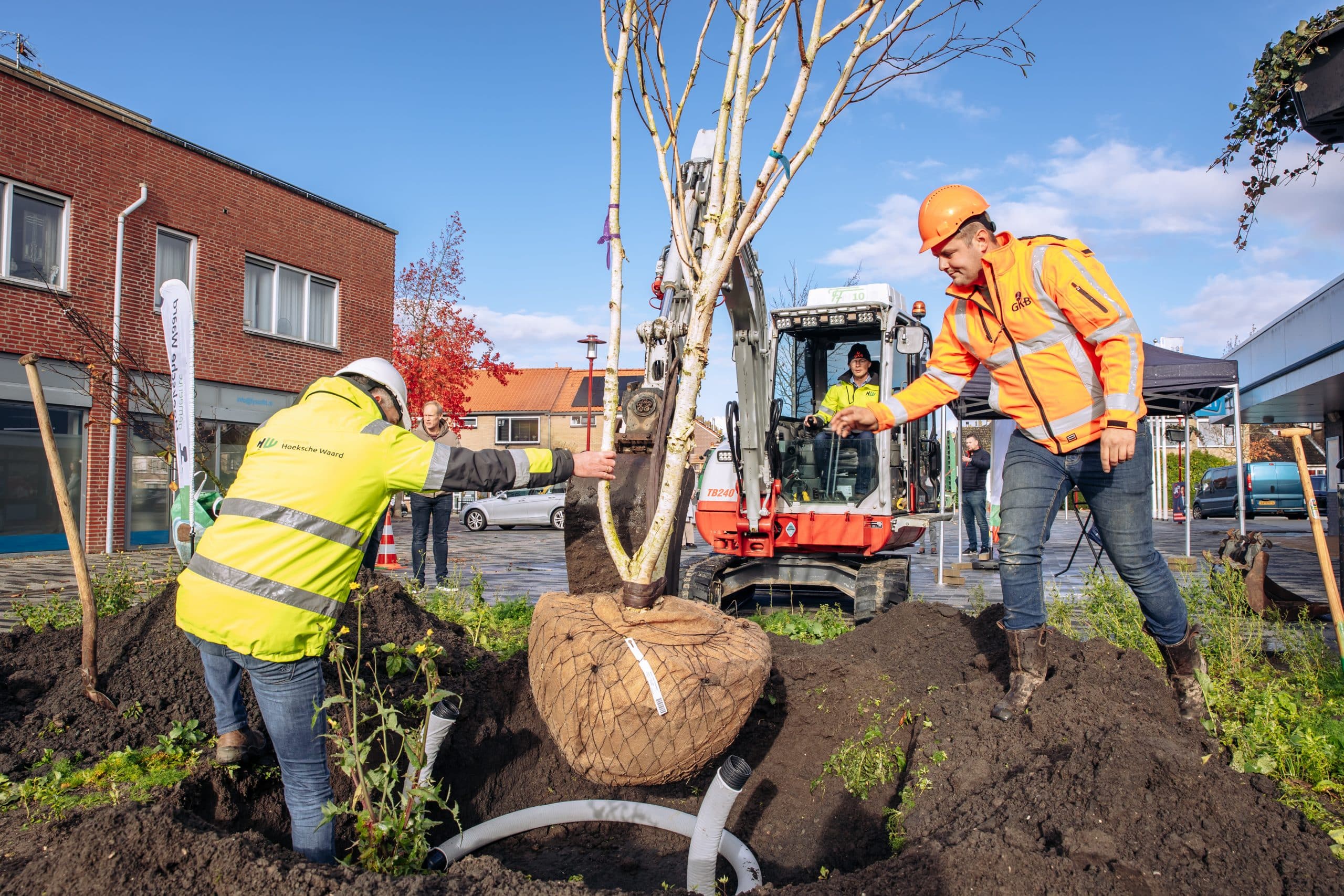 Met het planten van 7 bomen vernieuwing winkelplein Zuid-Beijerland ...